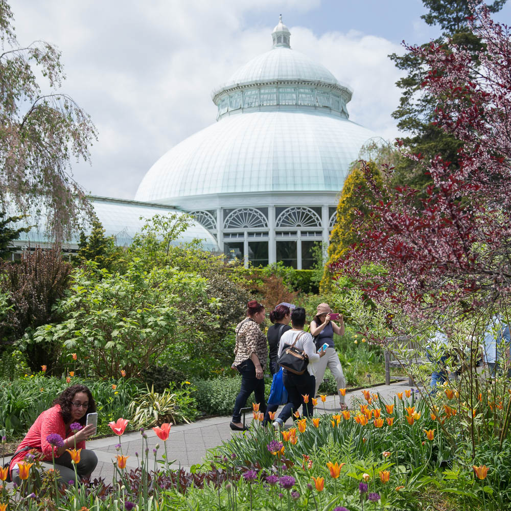 Group Visits » New York Botanical Garden