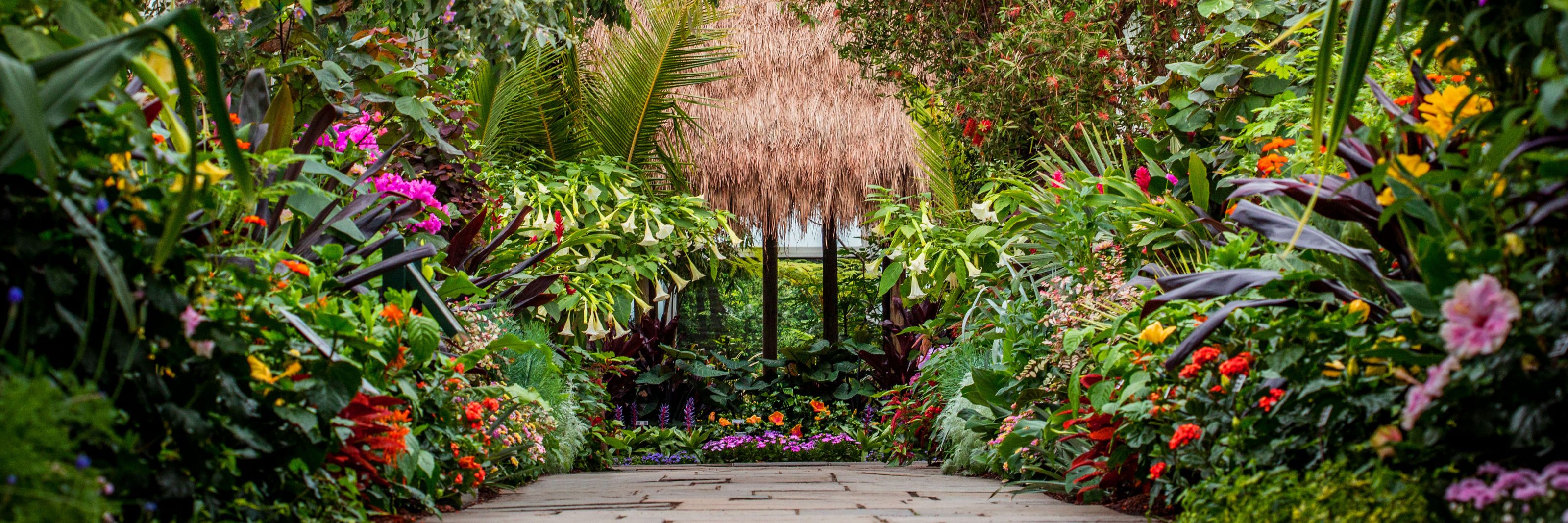 Abstract Photography | New York Botanical Garden