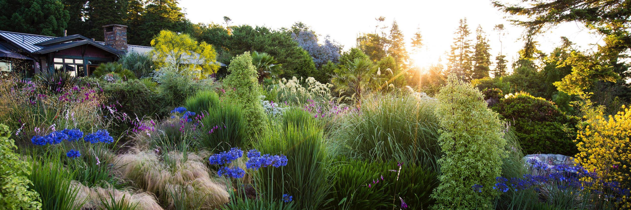 Winter Lecture Series 2018: Dan Hinkley | New York Botanical Garden