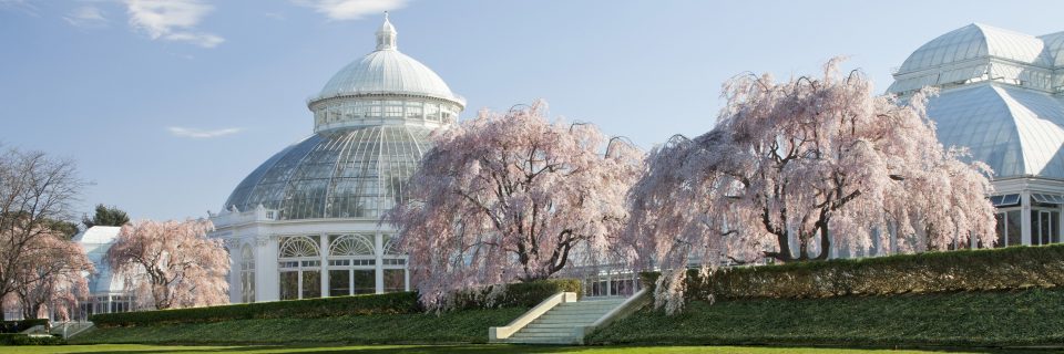 Interactive Map & Mobile Guide | New York Botanical Garden