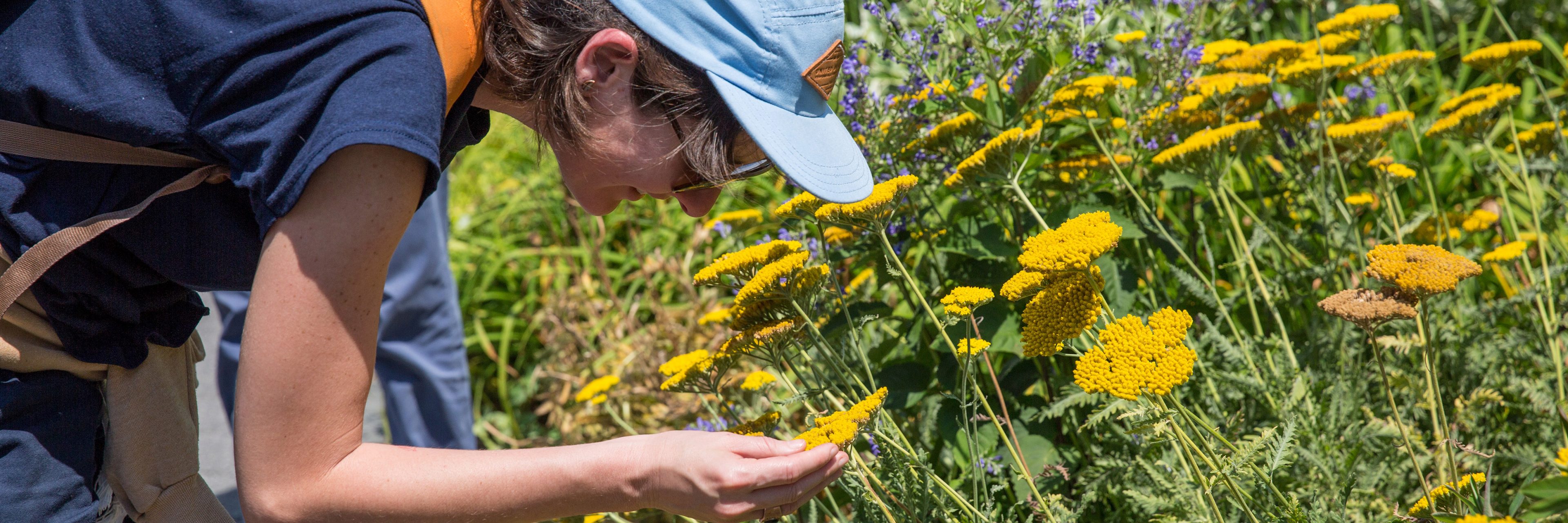 Community Science | New York Botanical Garden