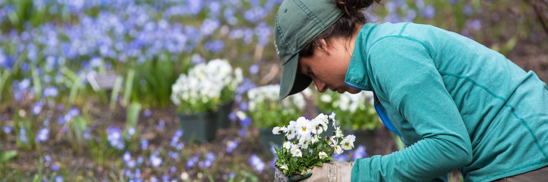 Gardening Classes | New York Botanical Garden