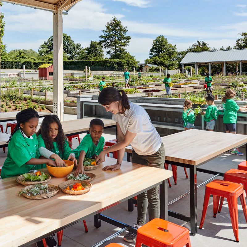 Edible Academy Fresh from the Garden Tastings | New York Botanical Garden