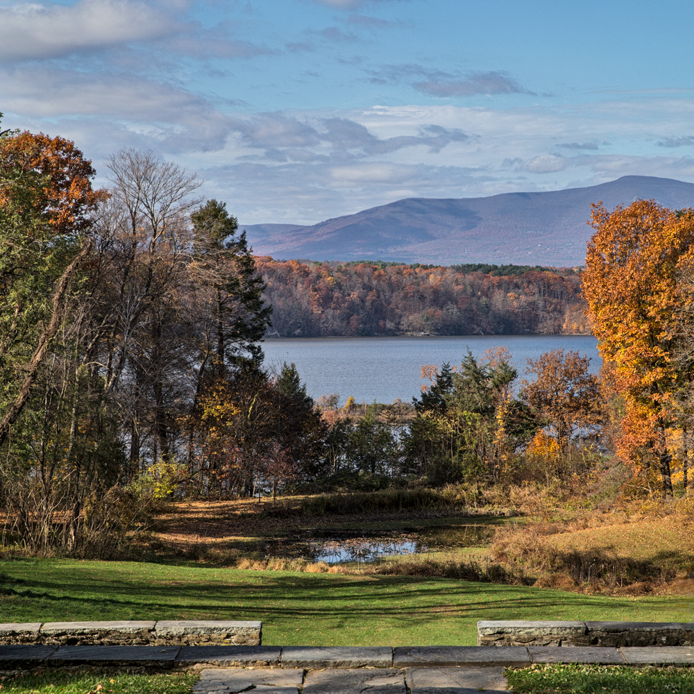 Picturesque: Celebrating Sublime Nature | New York Botanical Garden