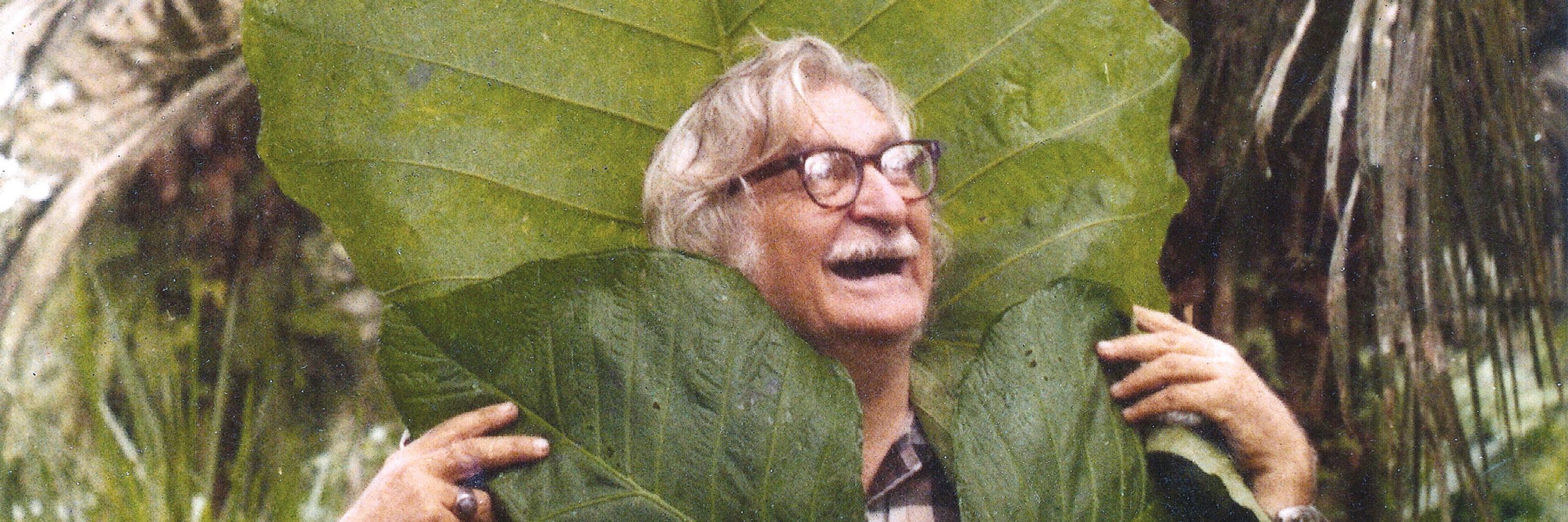 Brazilian Modern: The Living Art of Roberto Burle Marx at NYBG