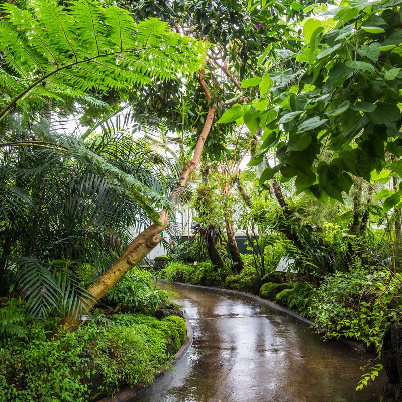 Hispanic/Latinx HeritageMonth 2023 » New York Botanical Garden