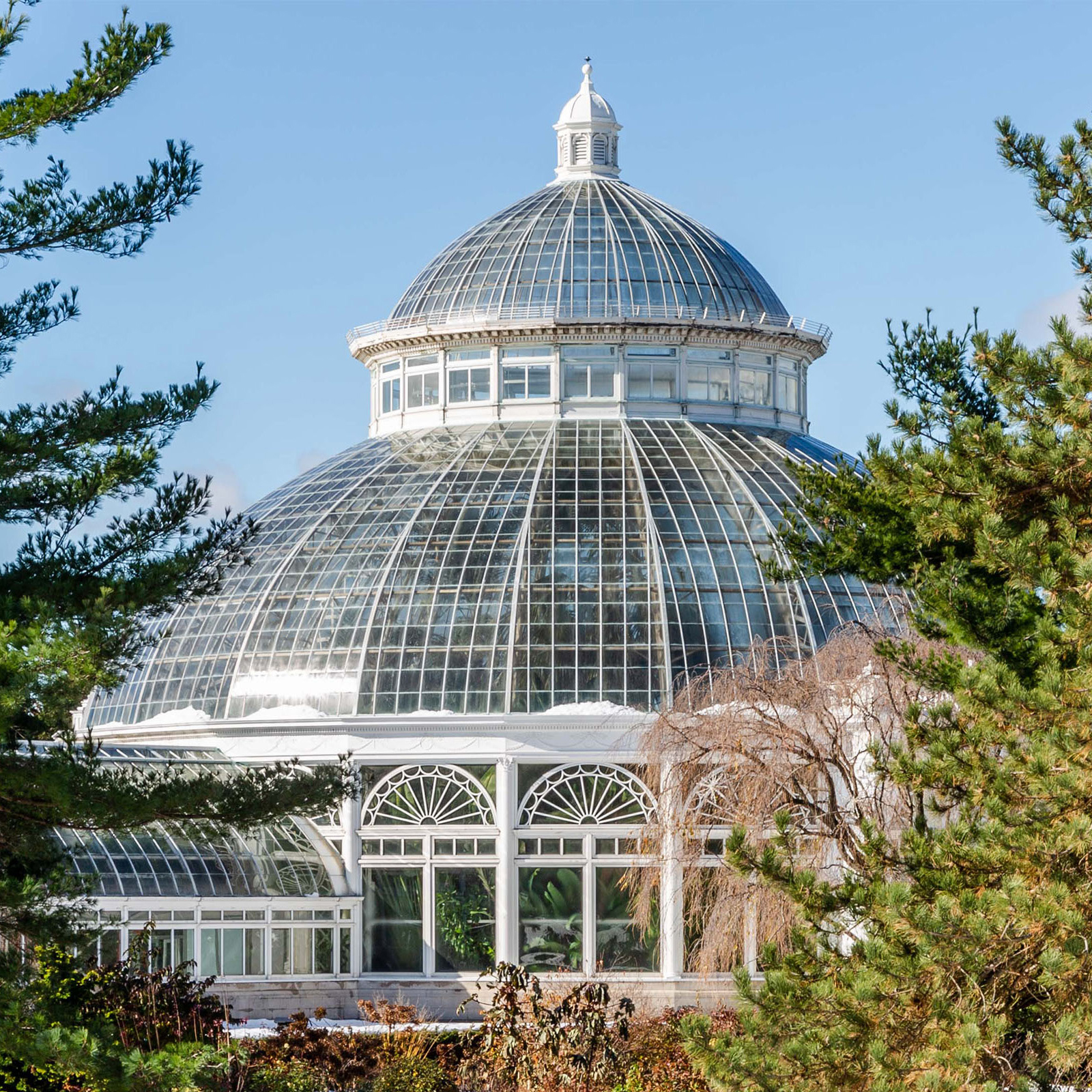 #plantlove Press Room Image Gallery | New York Botanical Garden