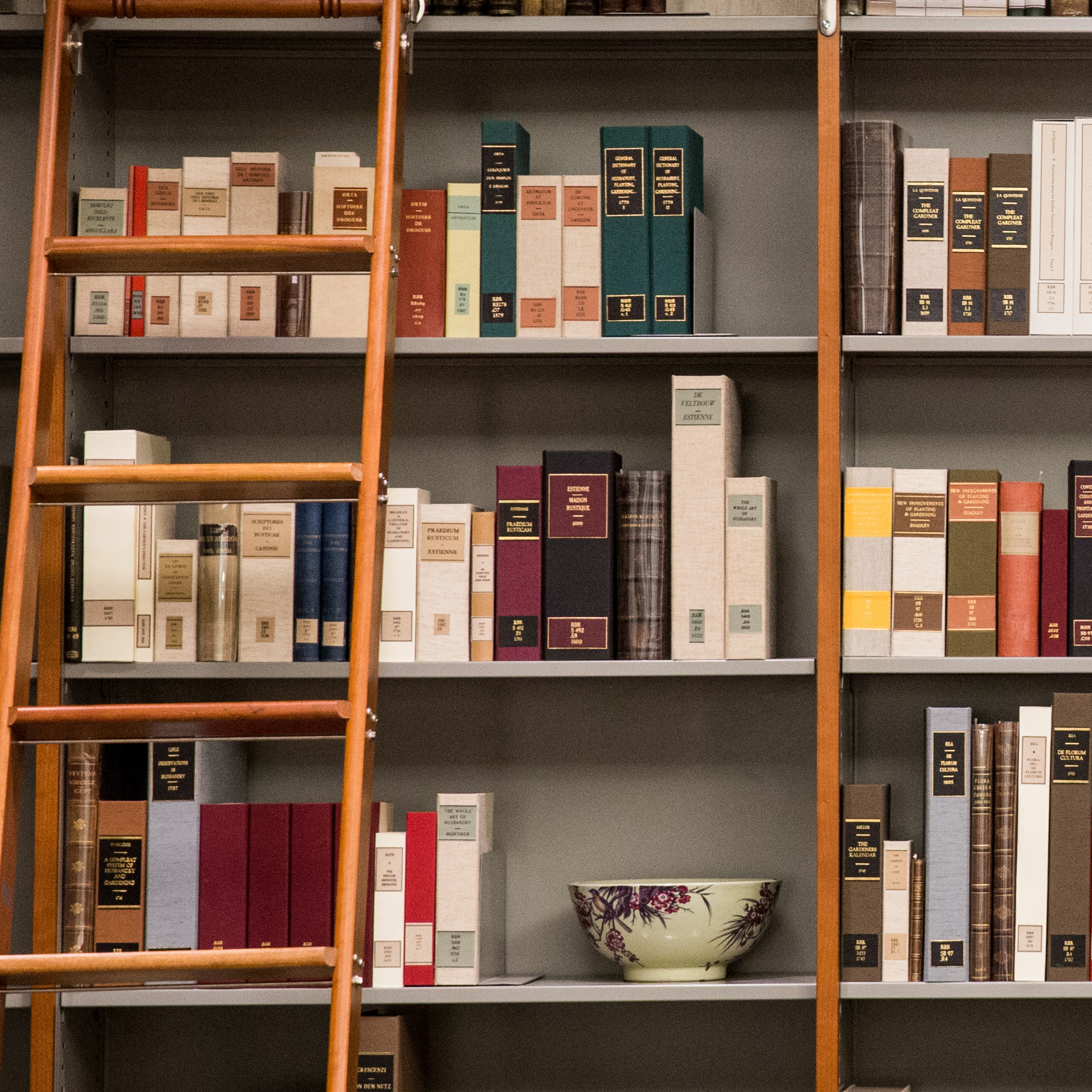 John Torrey: American Botanist | New York Botanical Garden
