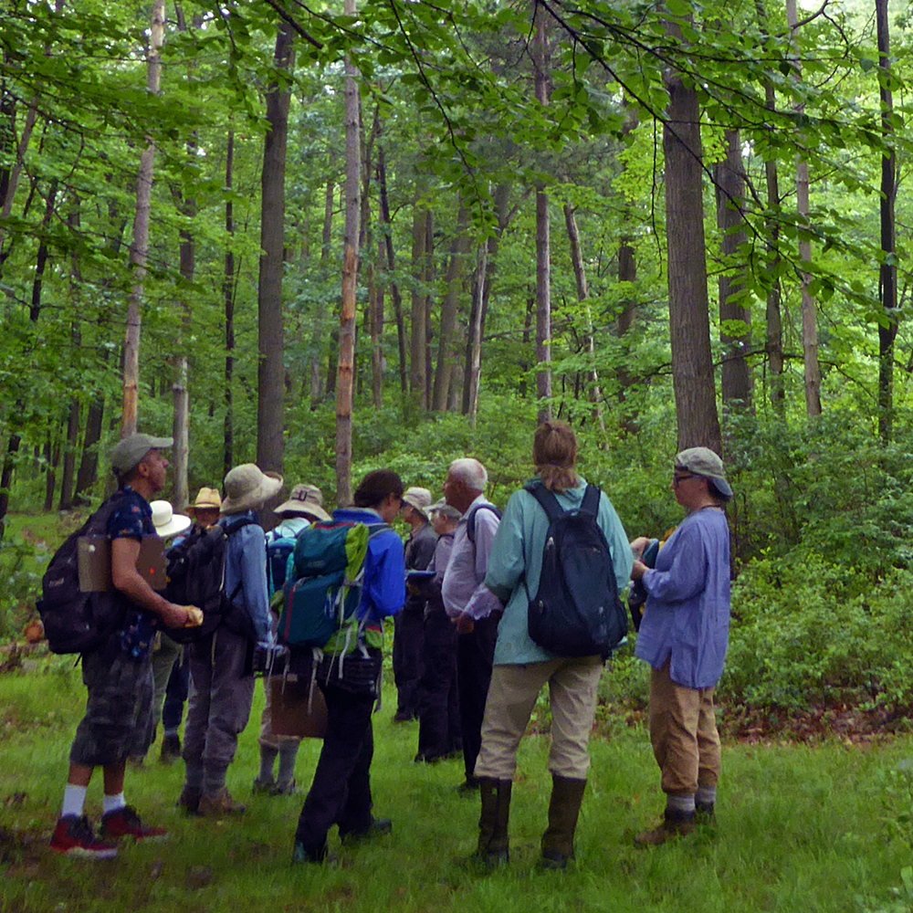 Classes by Subject | New York Botanical Garden