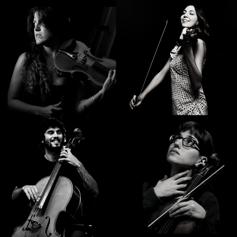 Artes Brasileiras: Musical Performances | New York Botanical Garden