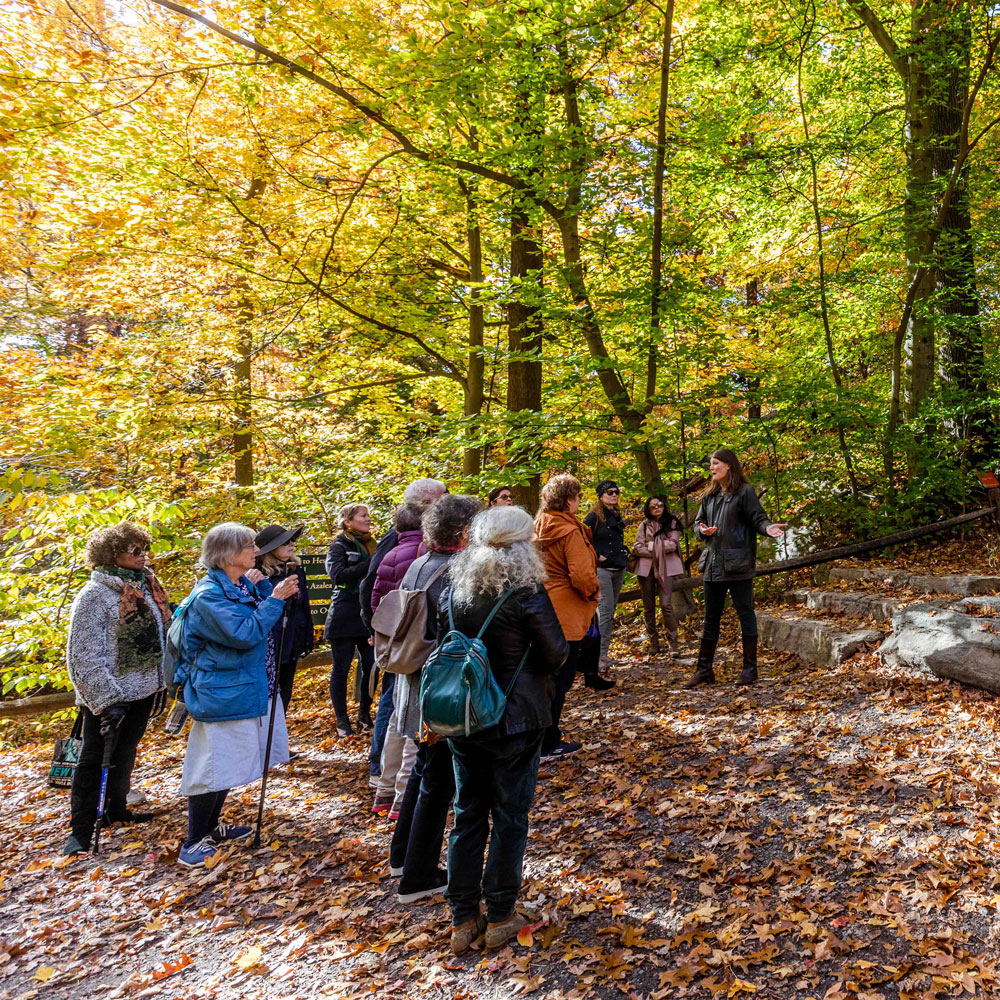EcoFlora News & Events | New York Botanical Garden