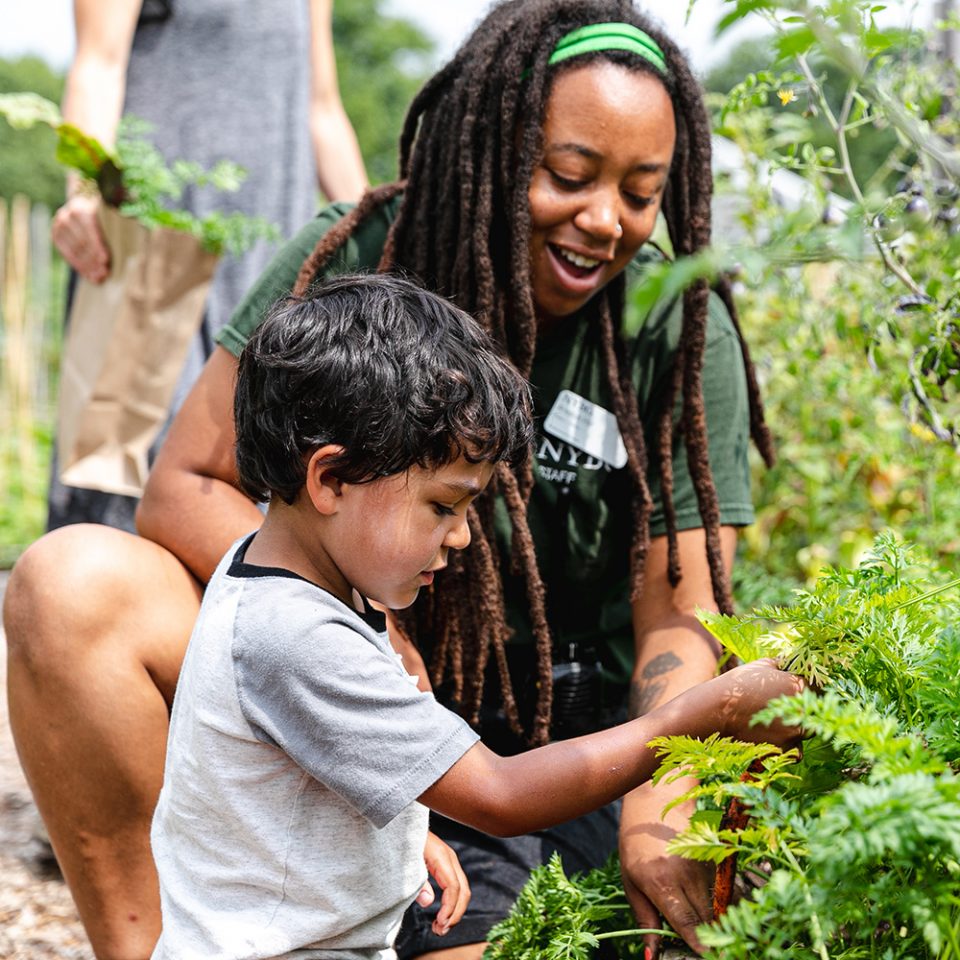 Work With Us | New York Botanical Garden