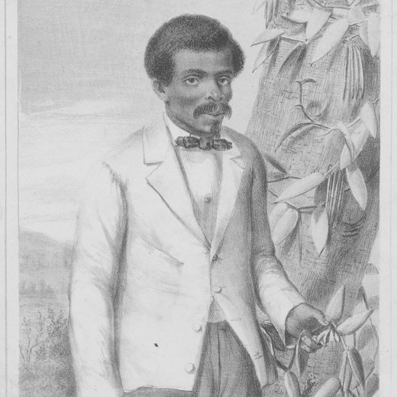 The Hand Lens Explores Black Botany | New York Botanical Garden