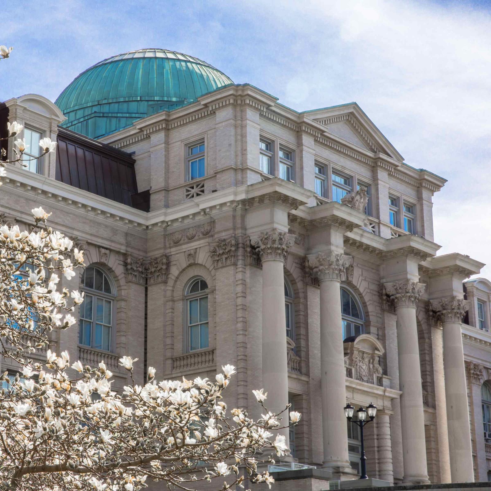 NYBG at Home » New York Botanical Garden