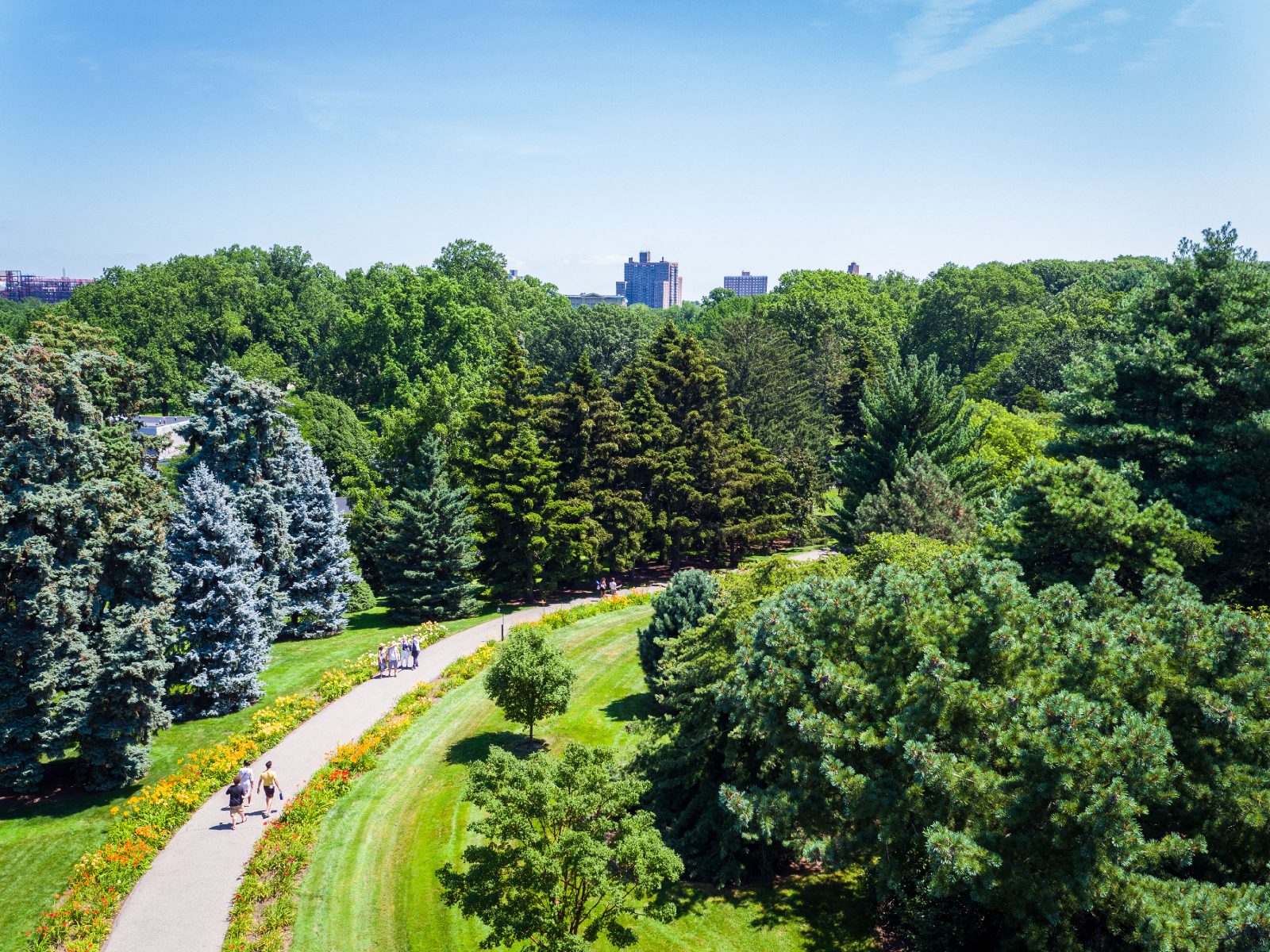 What's On | New York Botanical Garden