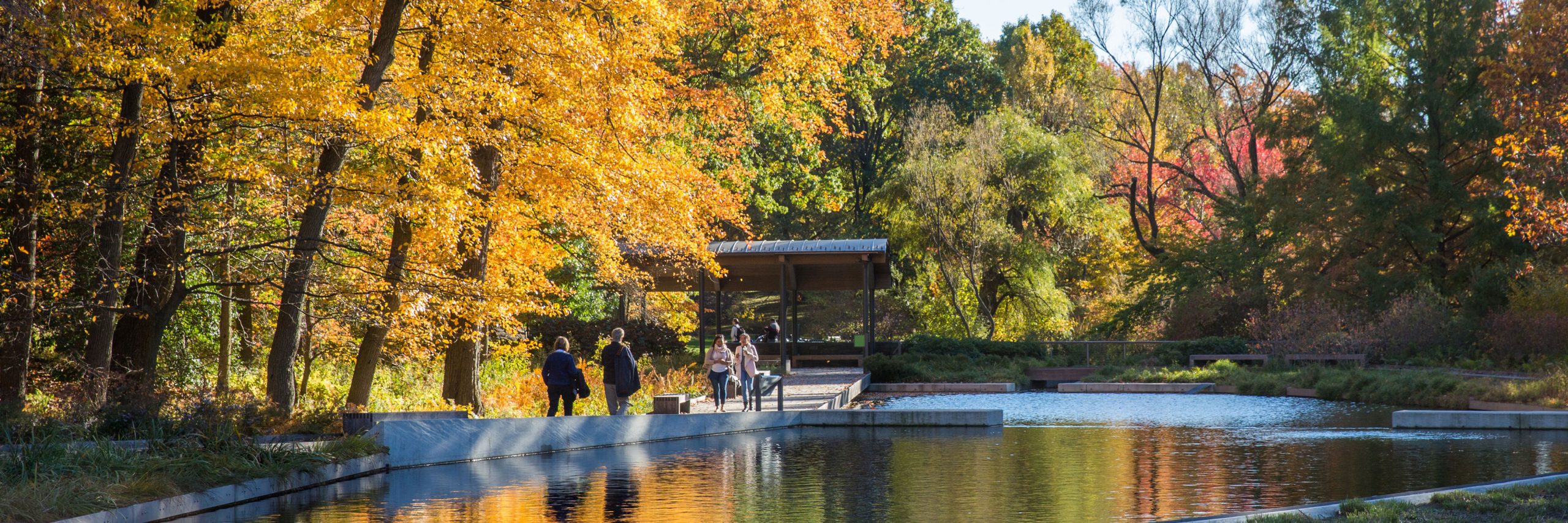 Native Plant Garden | New York Botanical Garden
