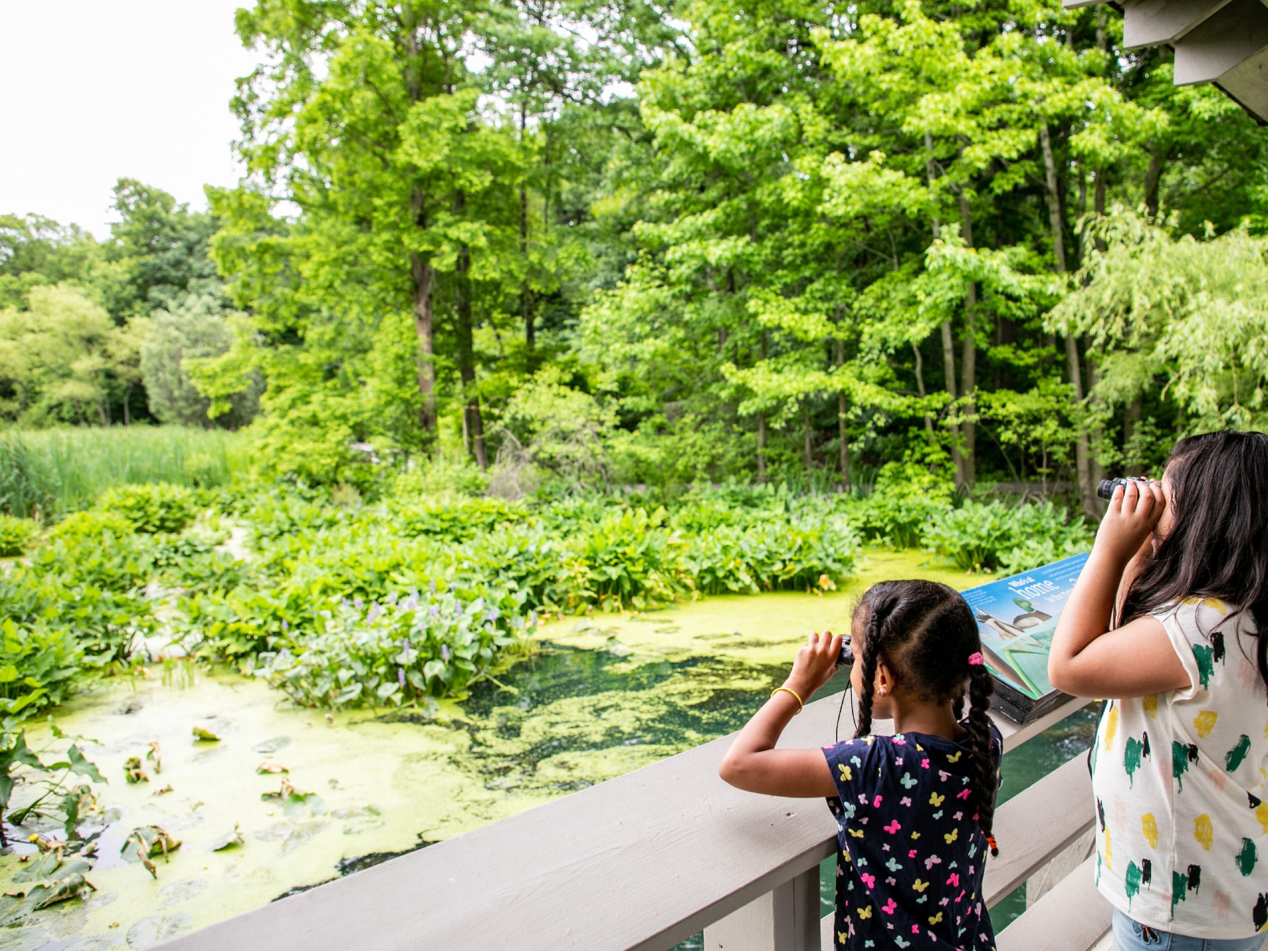 Children's Adventure Garden » New York Botanical Garden