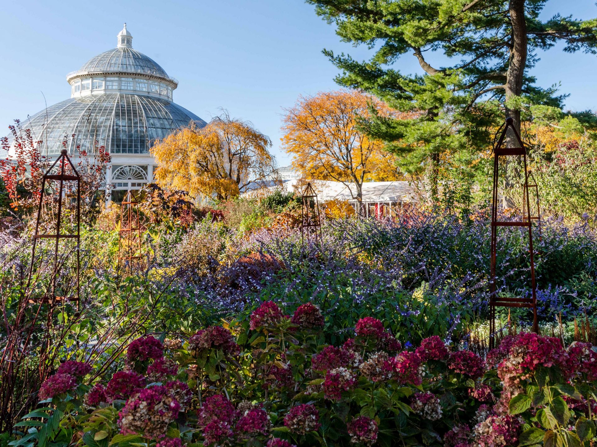 Perennial Garden » New York Botanical Garden
