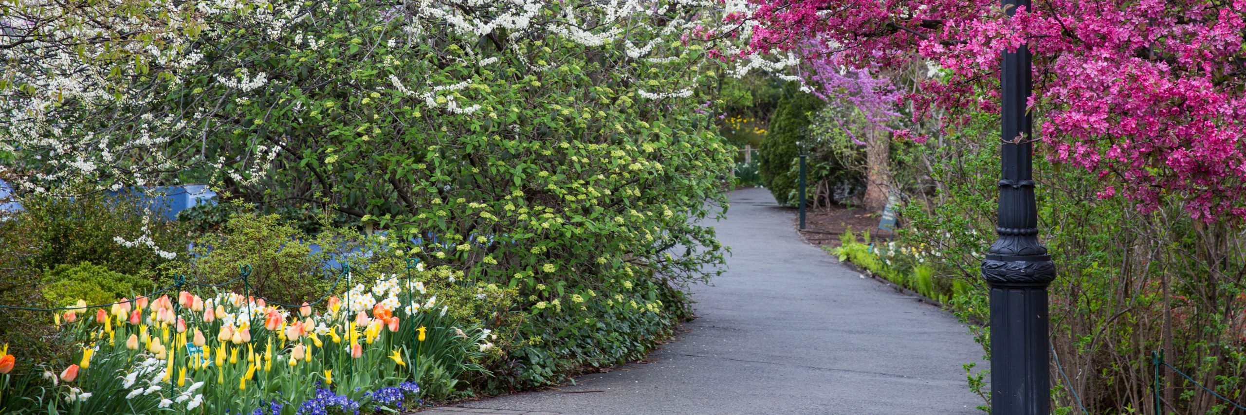Children's Adventure Garden | New York Botanical Garden