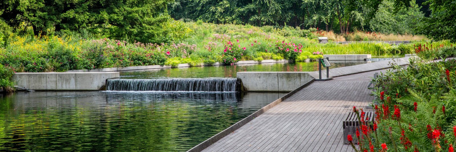 Native Plant Garden | New York Botanical Garden