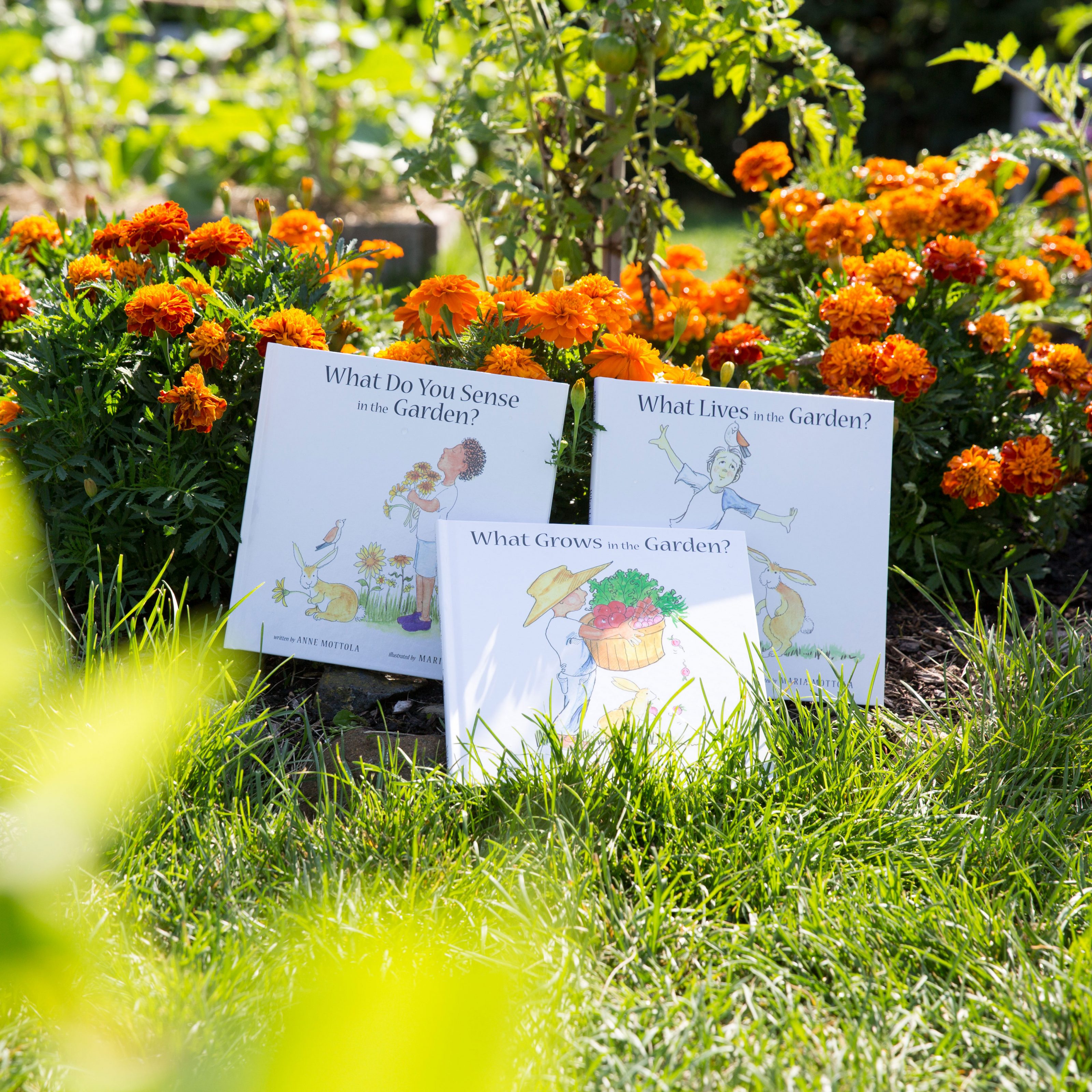 School & Teachers | New York Botanical Garden