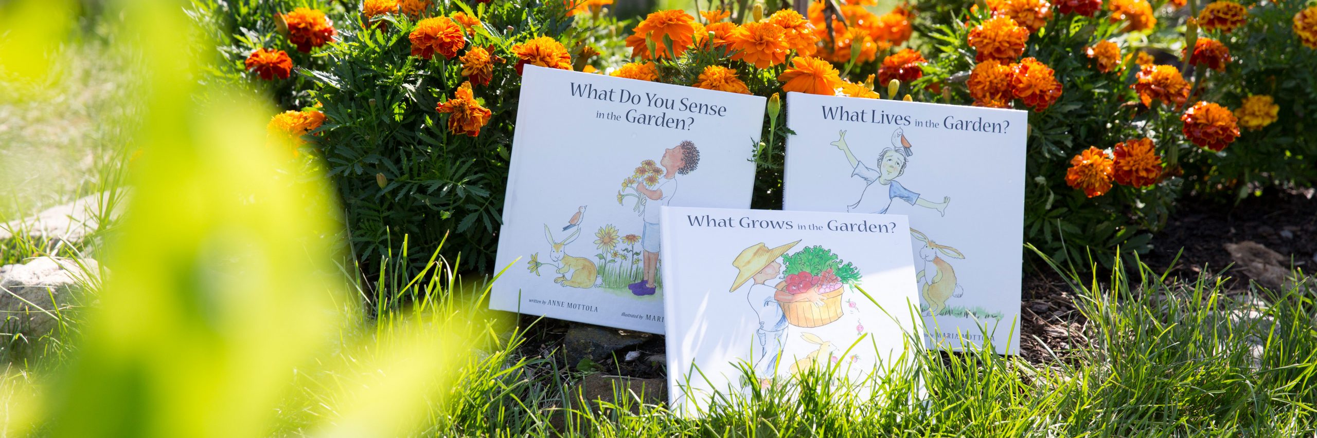 Wonders in the Garden!: A Celebration of Spring and Early Literacy ...