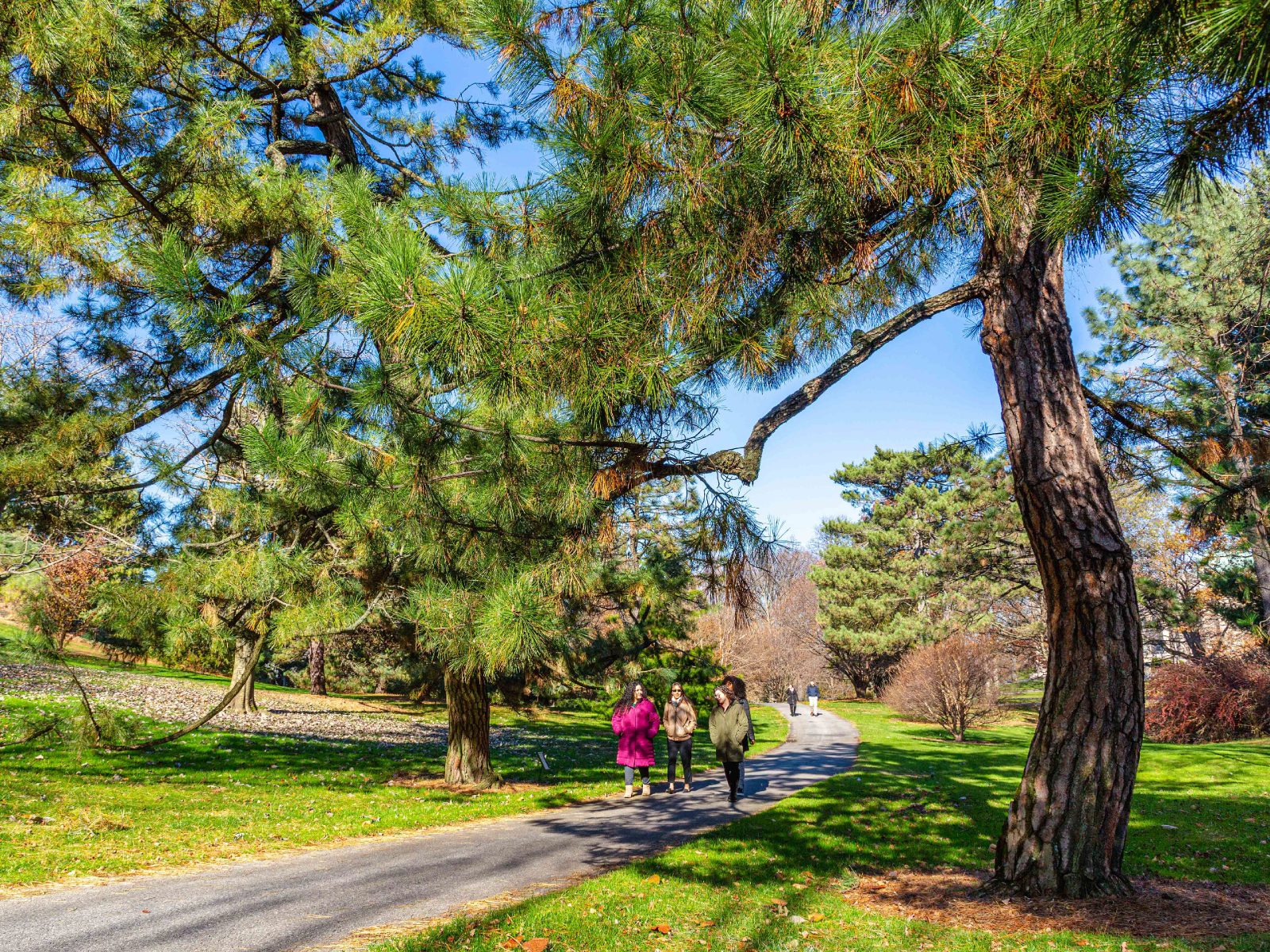 Gardens & Collections | New York Botanical Garden