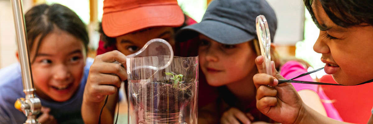 Pre & Post Activity Guides | New York Botanical Garden