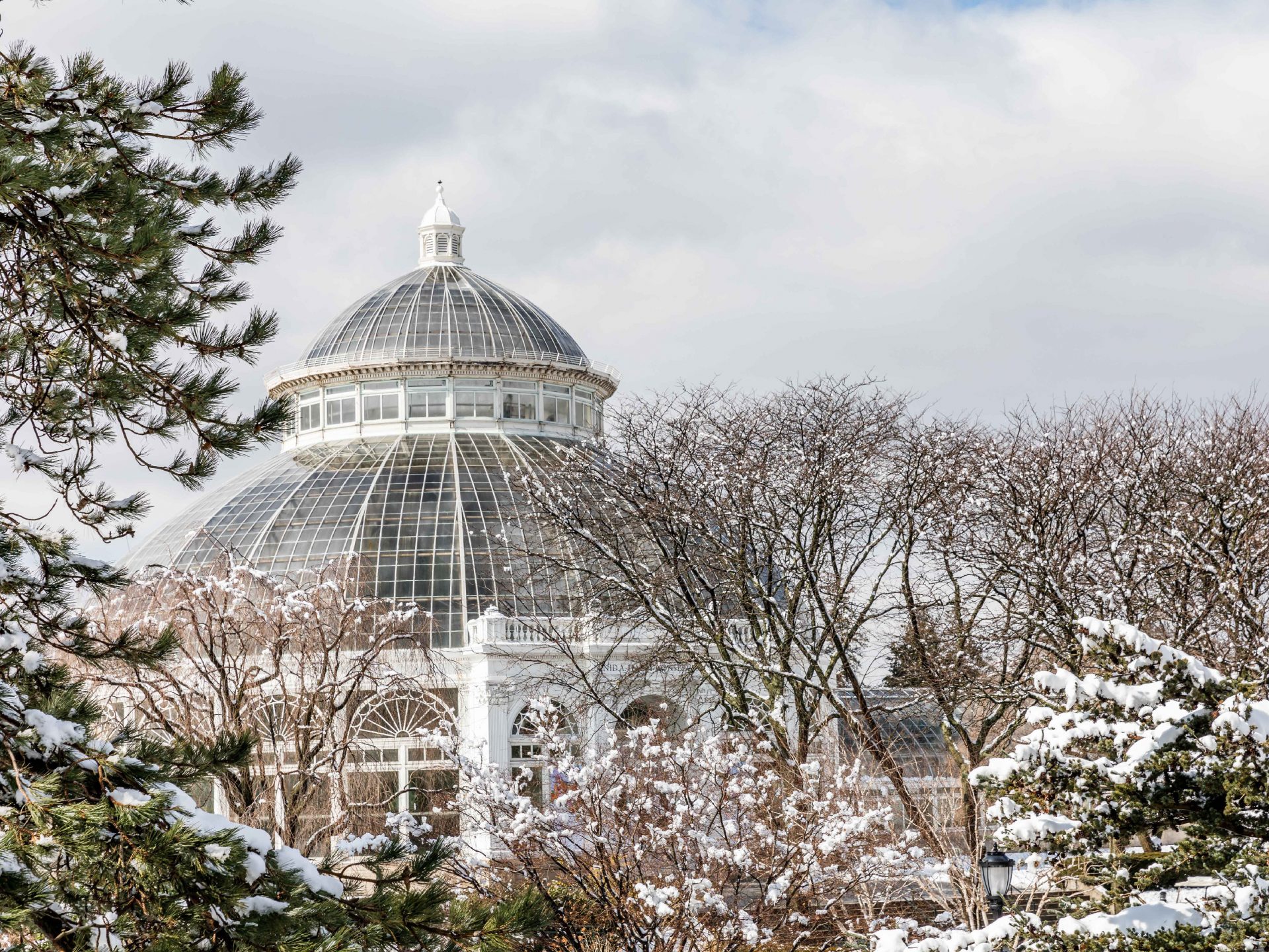 Gardens & Collections | New York Botanical Garden