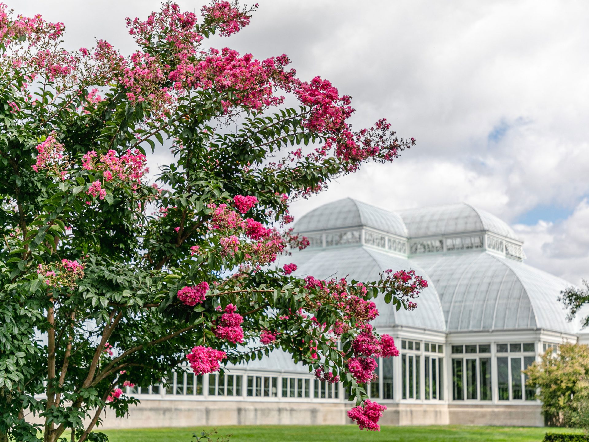 What's On | New York Botanical Garden