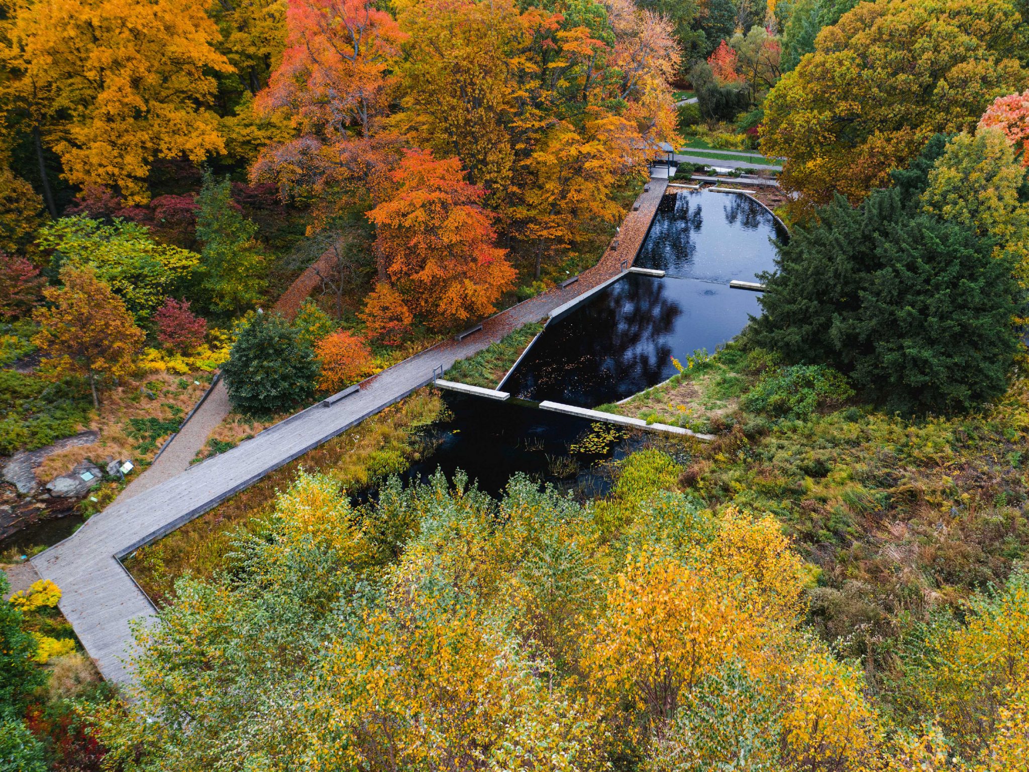 Native Plant Garden » New York Botanical Garden