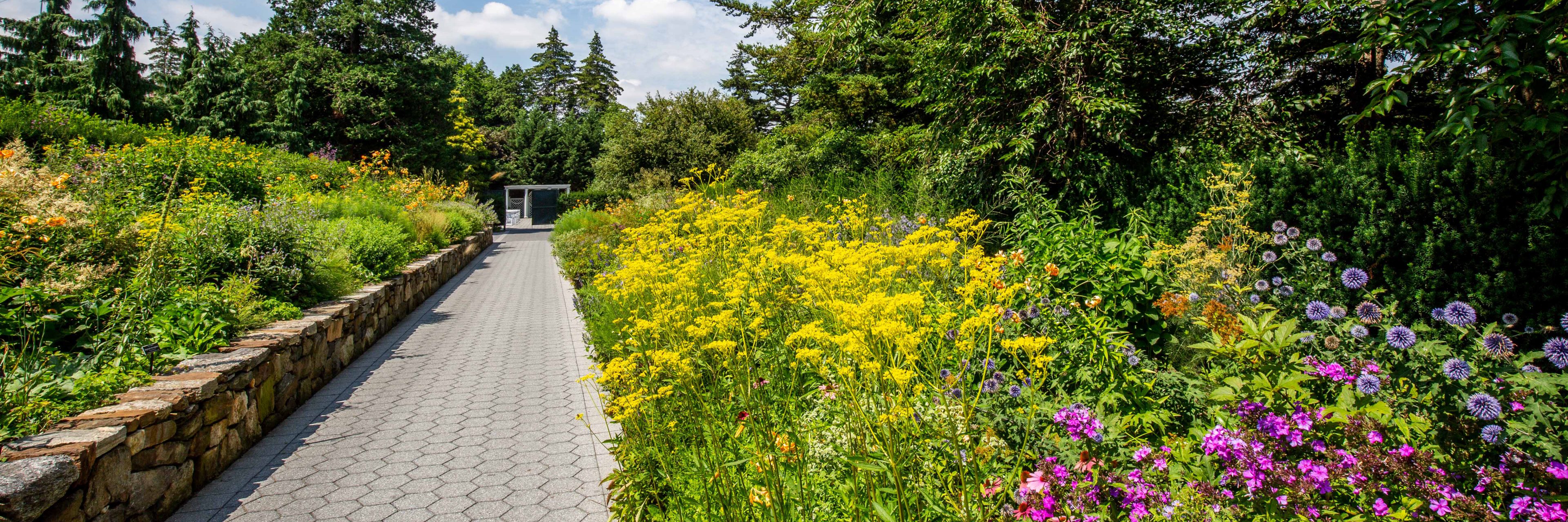 Seasonal Walk » New York Botanical Garden