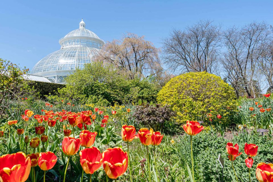Celebrate Spring Gala Journal | New York Botanical Garden
