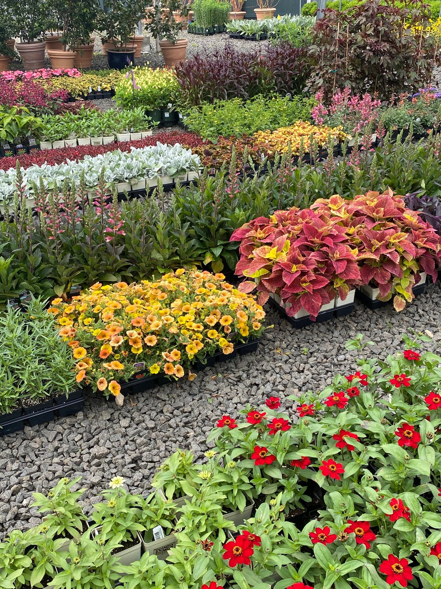 The Constant Gardeners | New York Botanical Garden