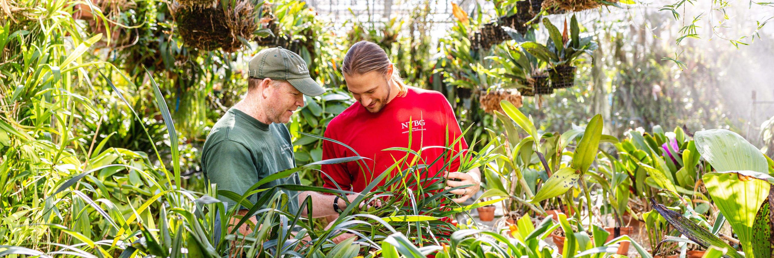 School of Professional Horticulture | New York Botanical Garden