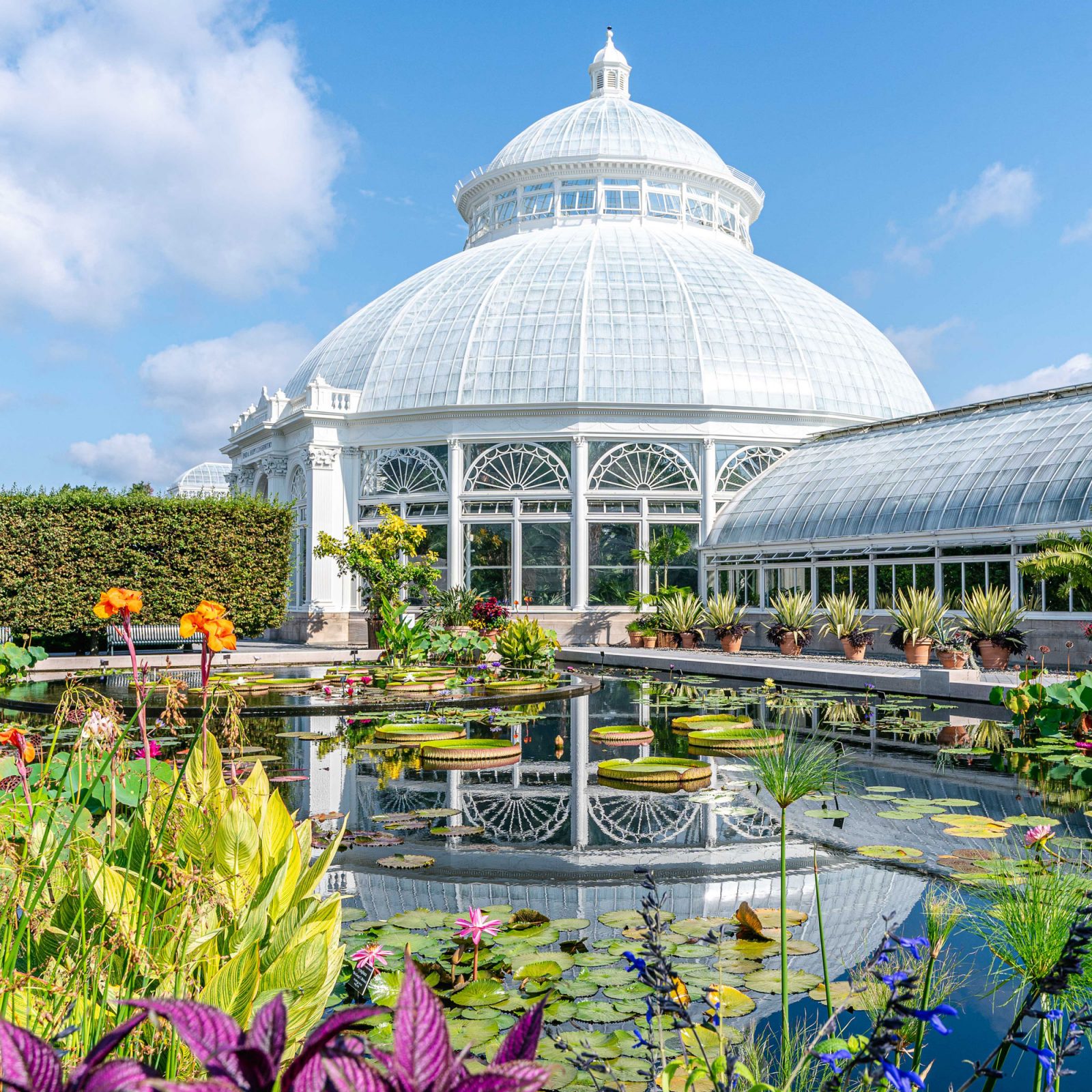 Hispanic/Latinx Heritage Month 2023 | New York Botanical Garden