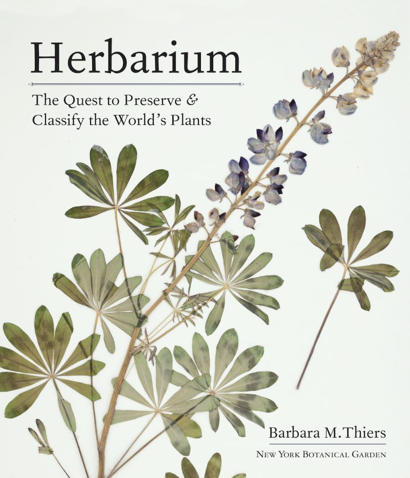 Discover the History of Herbaria with Barbara M. Thiers | New York ...