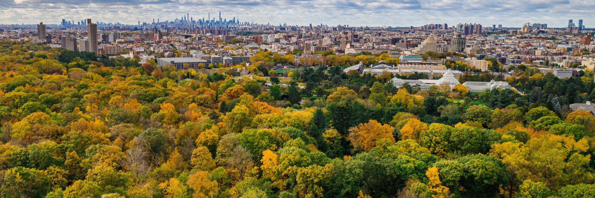 History of NYBG Tour » New York Botanical Garden