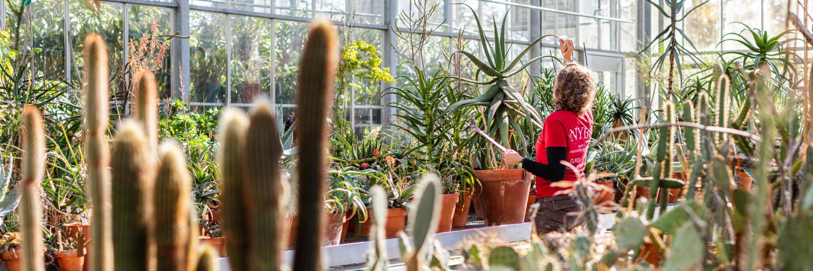 Hands-on Training | New York Botanical Garden