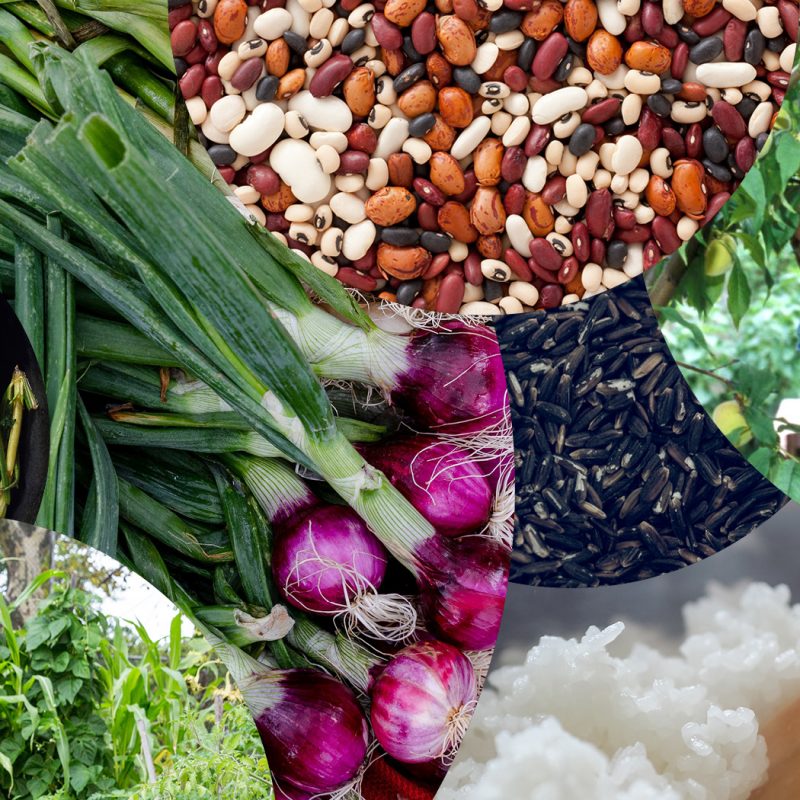 What's On » New York Botanical Garden