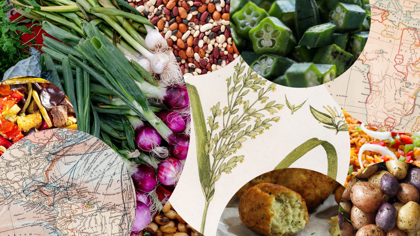 Connecting Students to African American History | New York Botanical Garden