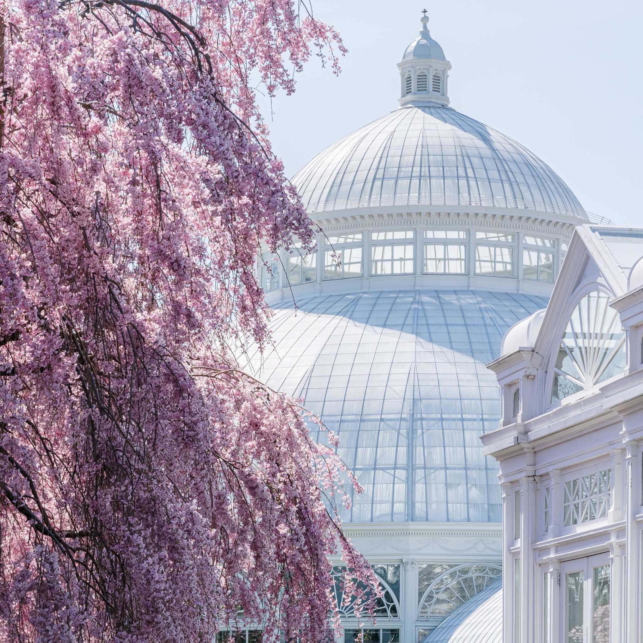 General NYBG Image Gallery | New York Botanical Garden