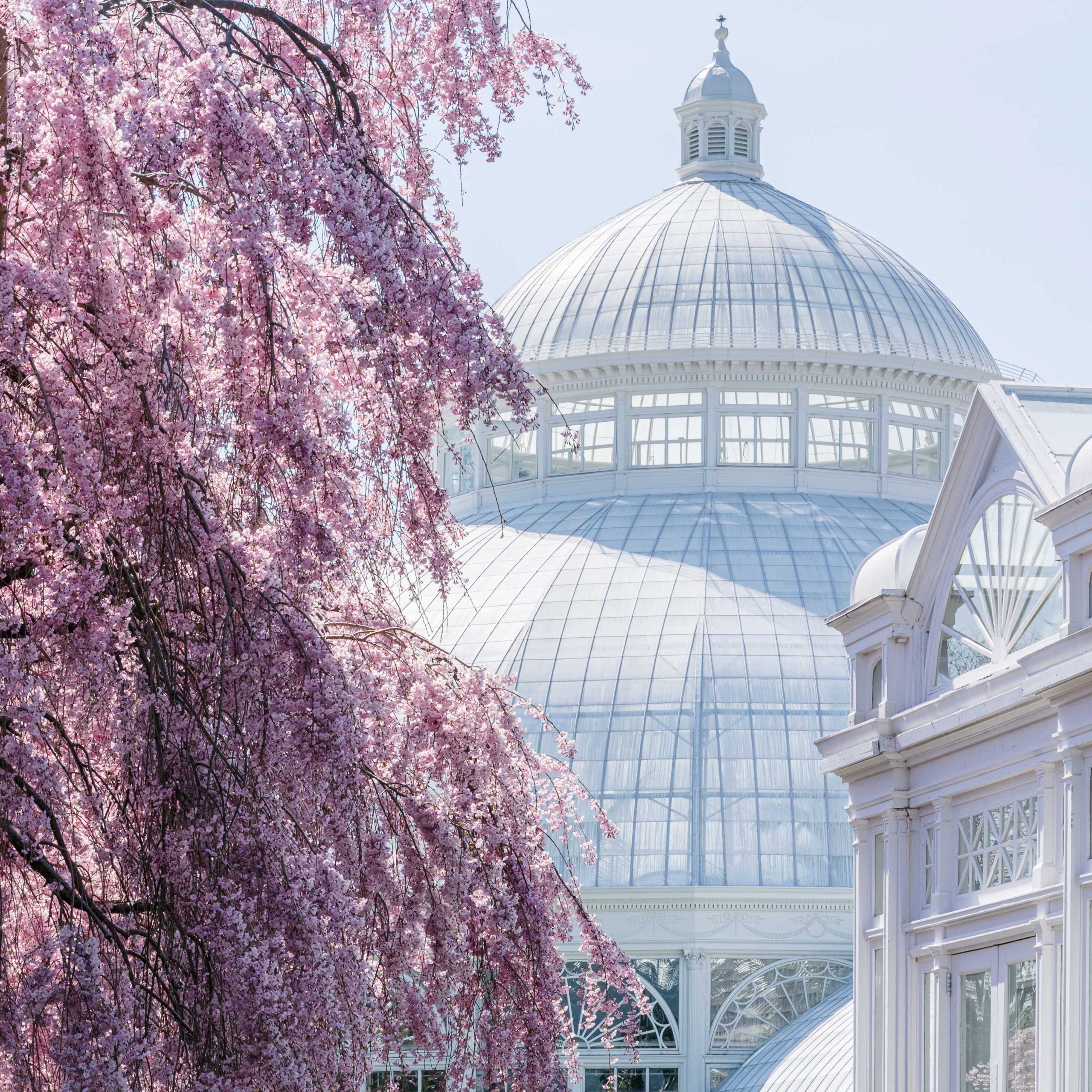 General NYBG Image Gallery | New York Botanical Garden