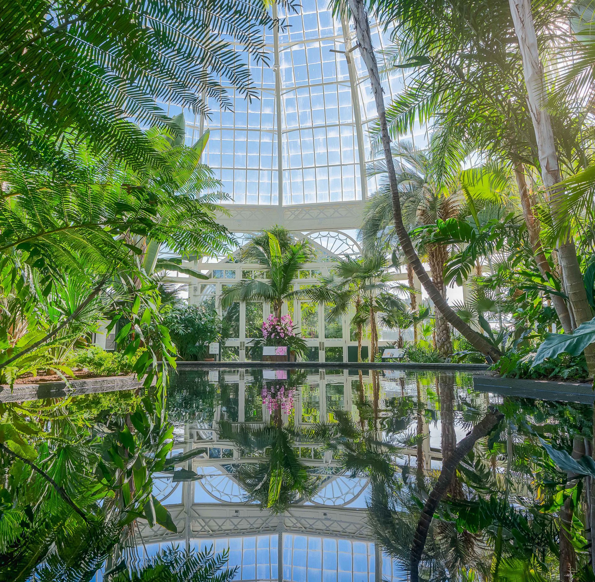 General NYBG Image Gallery | New York Botanical Garden