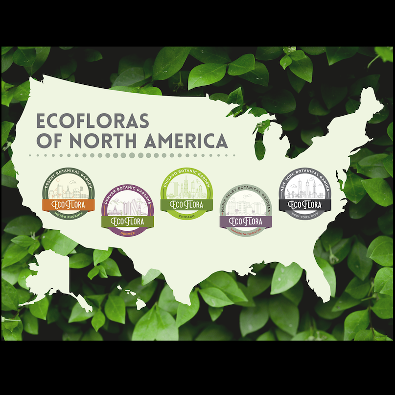 New York City EcoFlora | New York Botanical Garden