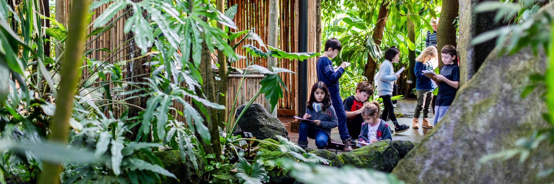 Class Trips | New York Botanical Garden