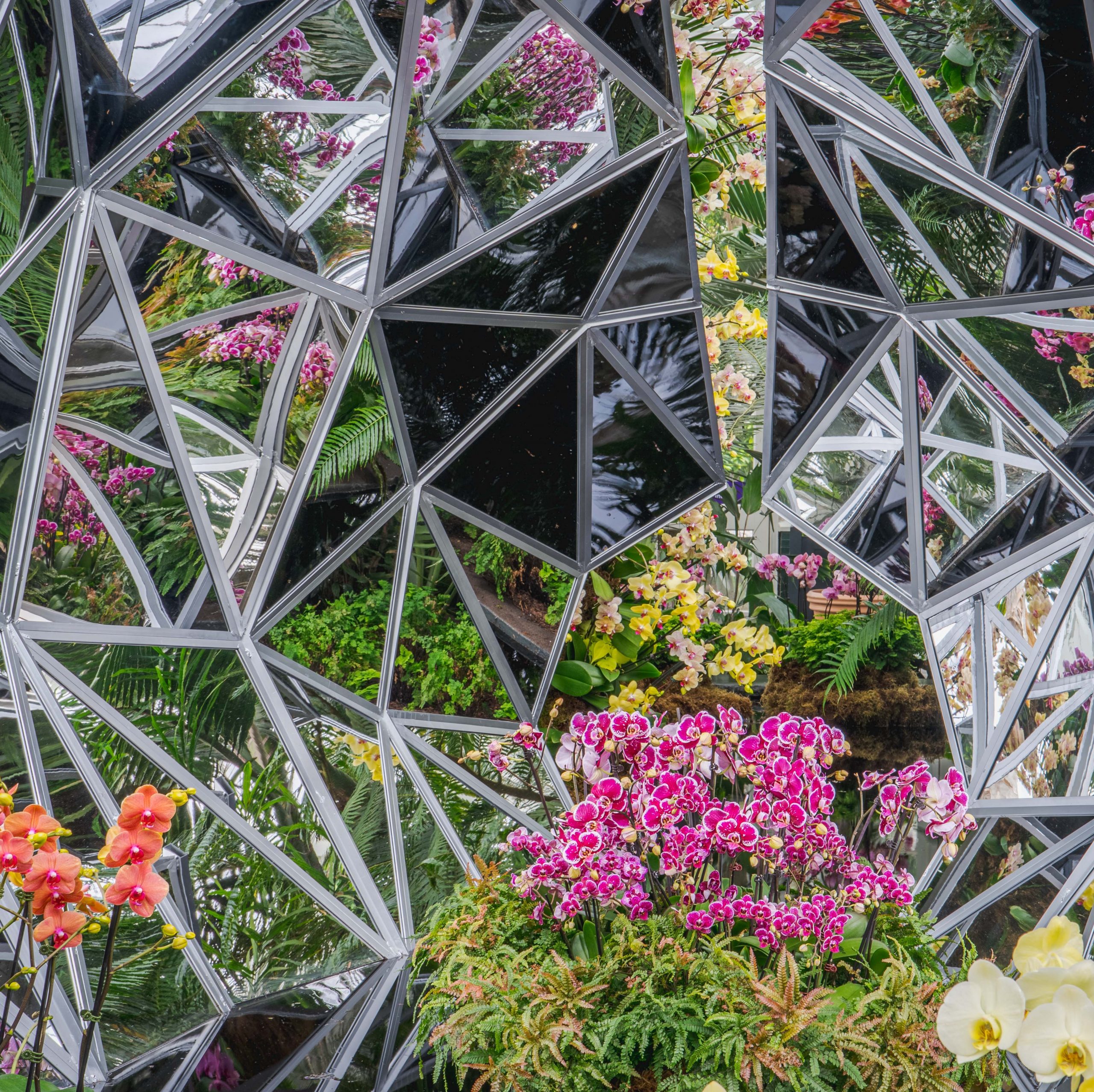 The Orchid Show Press Room » New York Botanical Garden