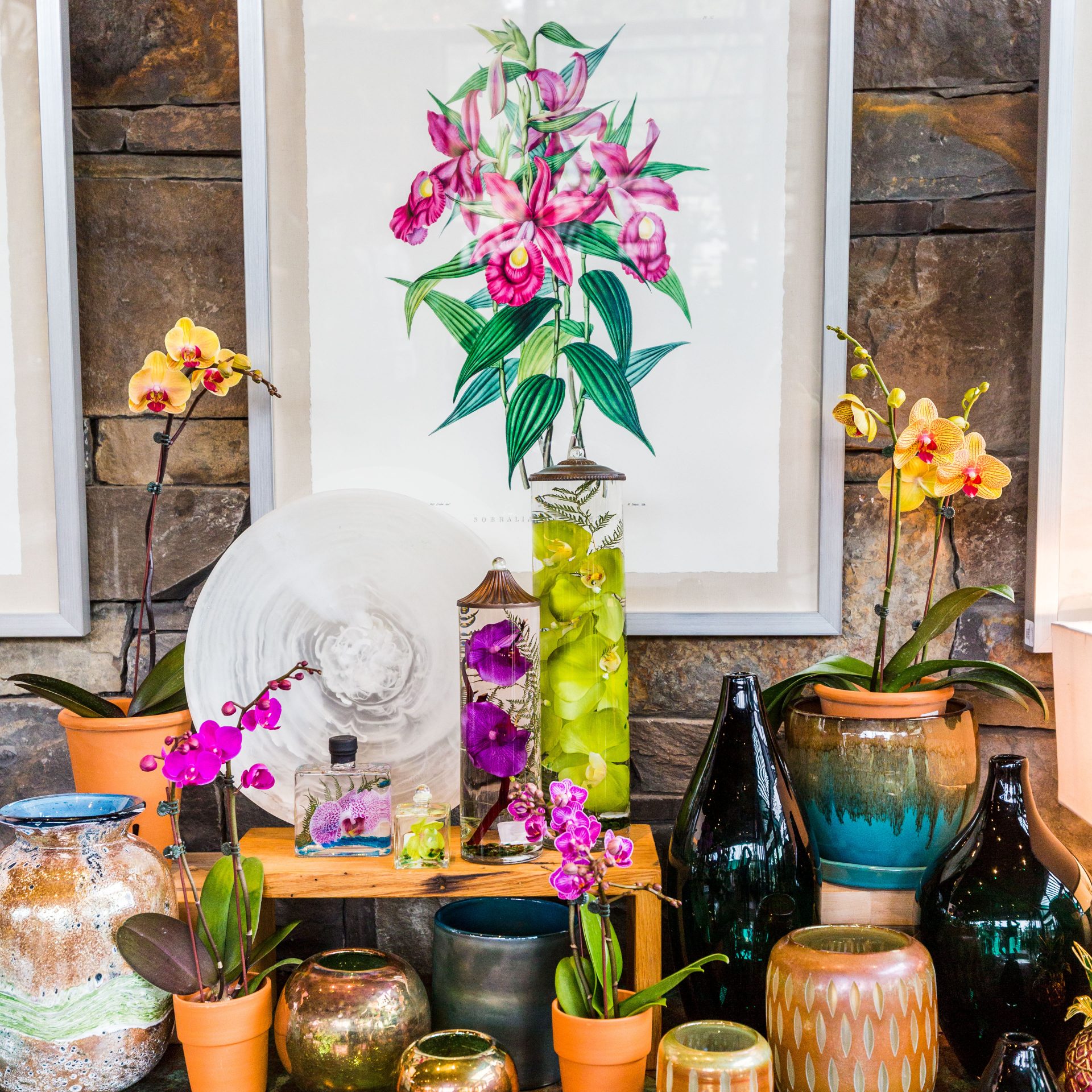 Mother's Day Garden Celebration | New York Botanical Garden