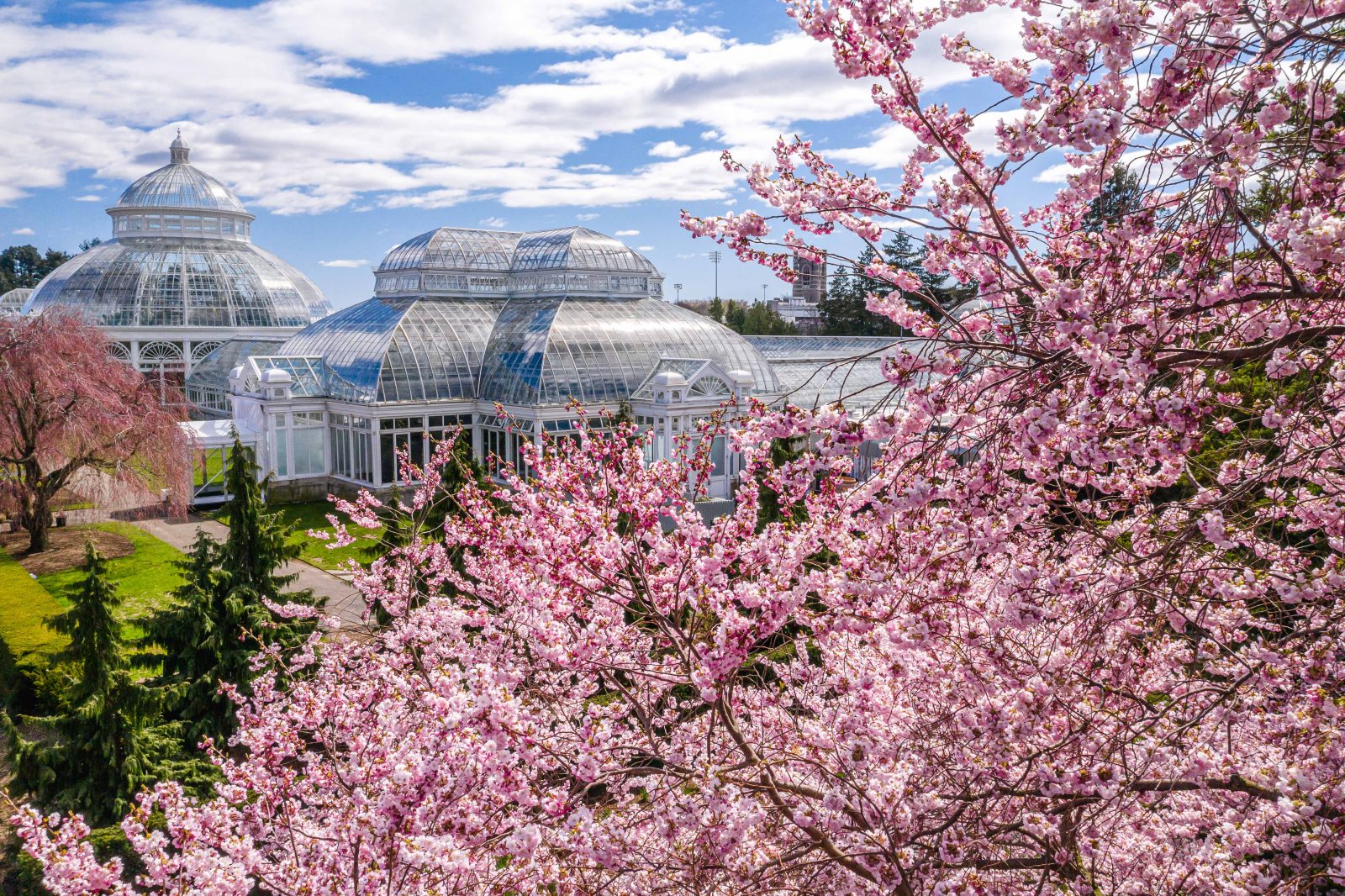 New York Botanical Garden