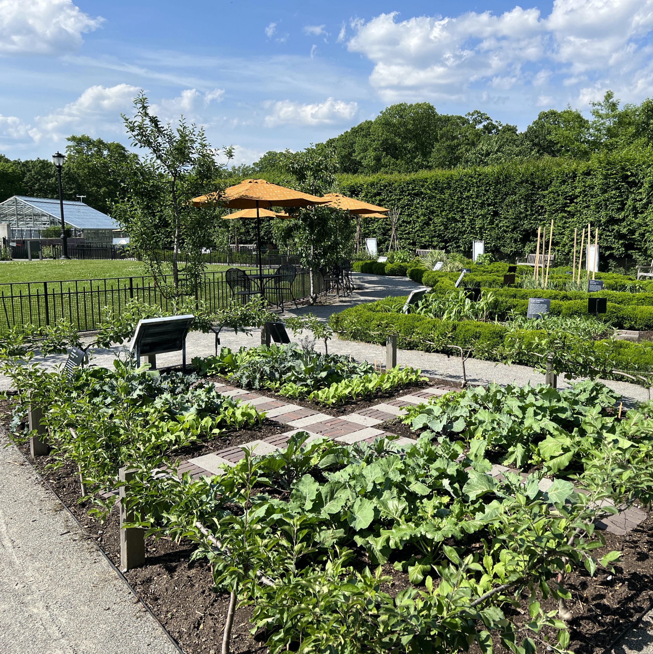 African American Garden Poetry Walk | New York Botanical Garden